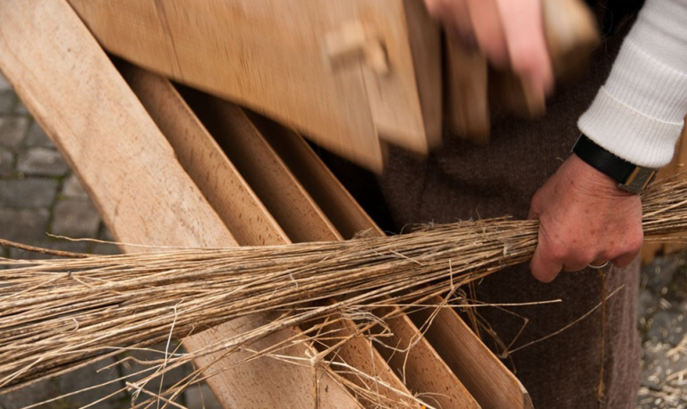 Flachsanbau und Verwertung von Flachs und Flachssamen Teil 1 – www ...